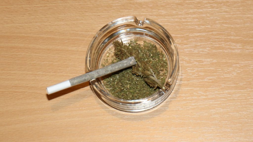 Saver Use – Cannabis sicherer konsumieren und genießen